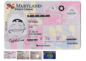 Maryland ID - Tech Remarkable